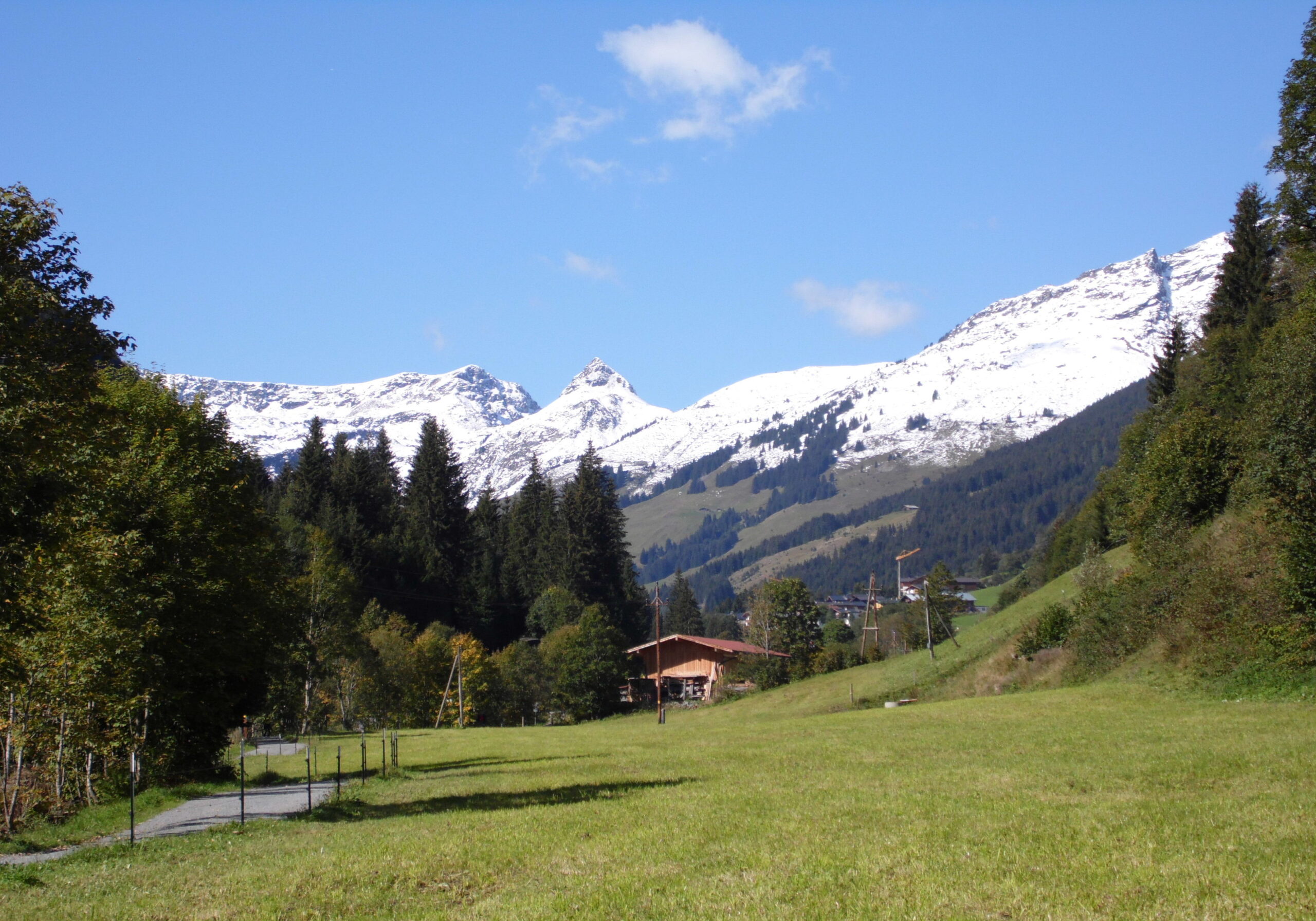 SAM_0513 - Les Cigognes d'Alsace