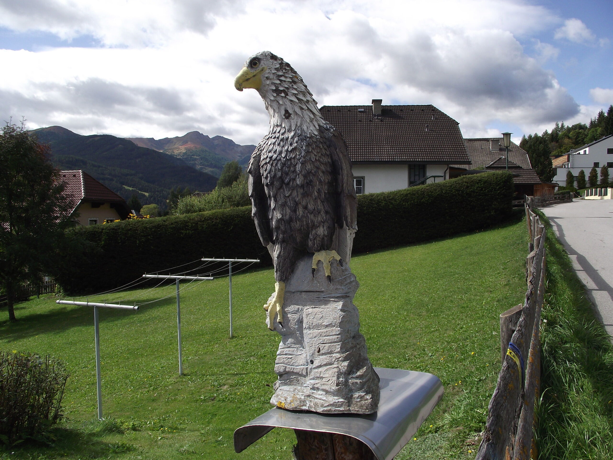 DSCF5532 - Les Cigognes d'Alsace